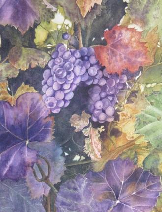 Rose Reilly Leonard - Grapes